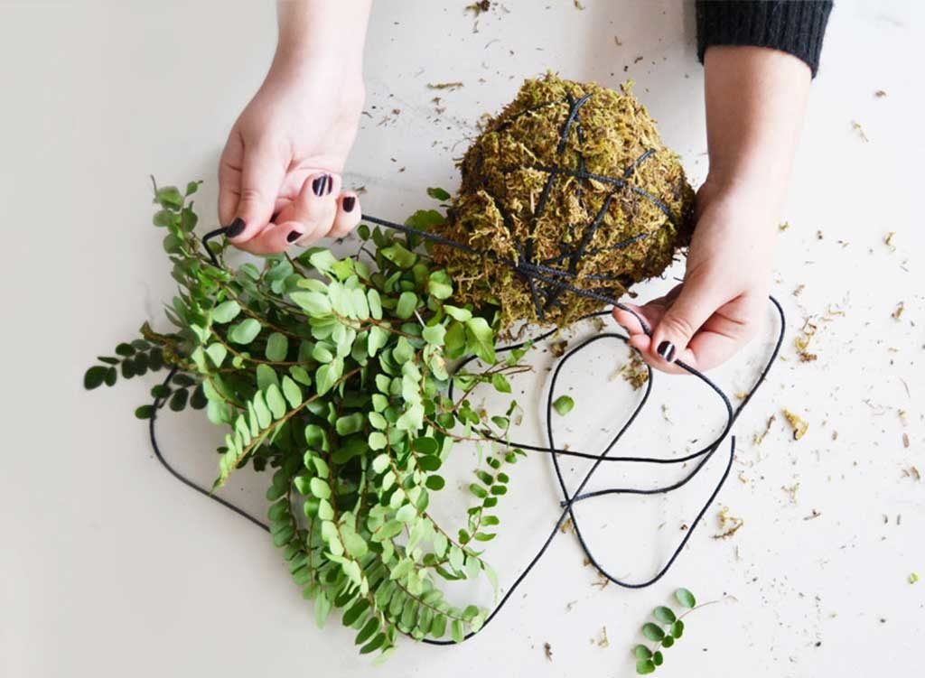 Come realizzare un Kokedama | La casa in ordine