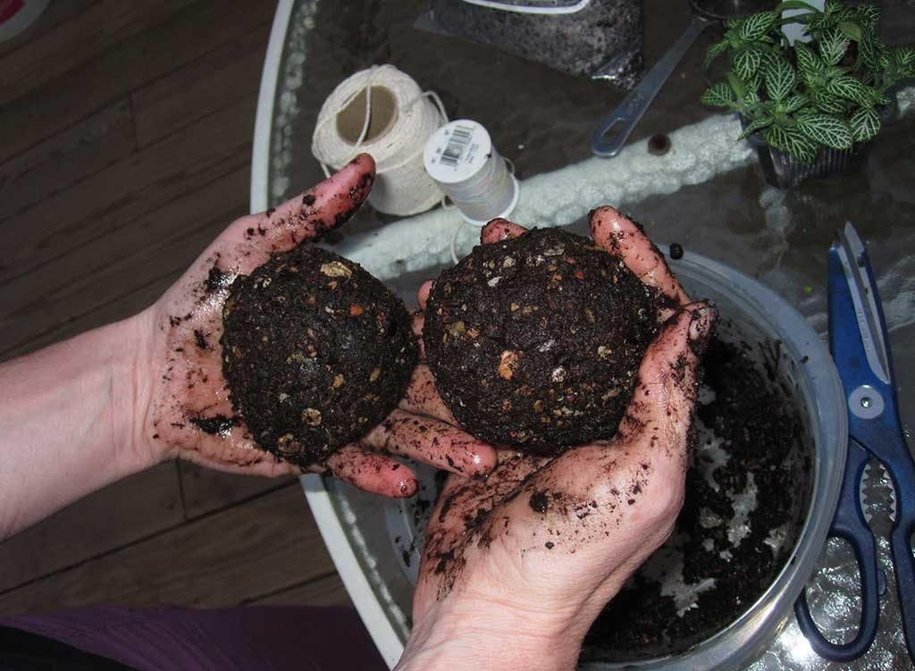 Come realizzare un Kokedama | La casa in ordine