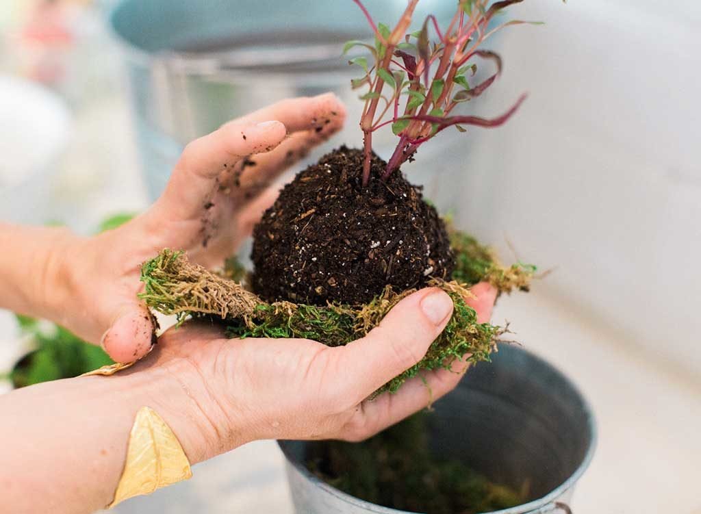 Come realizzare un Kokedama | La casa in ordine