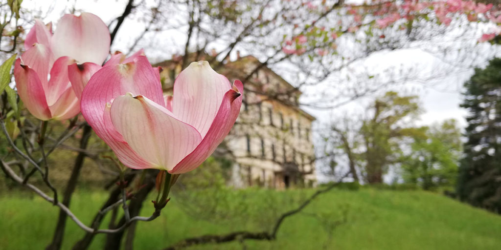 Yougardener Flower Show – prima edizione a Varese | La casa in ordine
